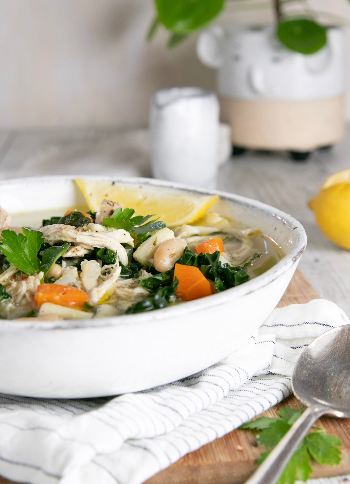 Rustic Chicken Soup – Cockatoo Grove